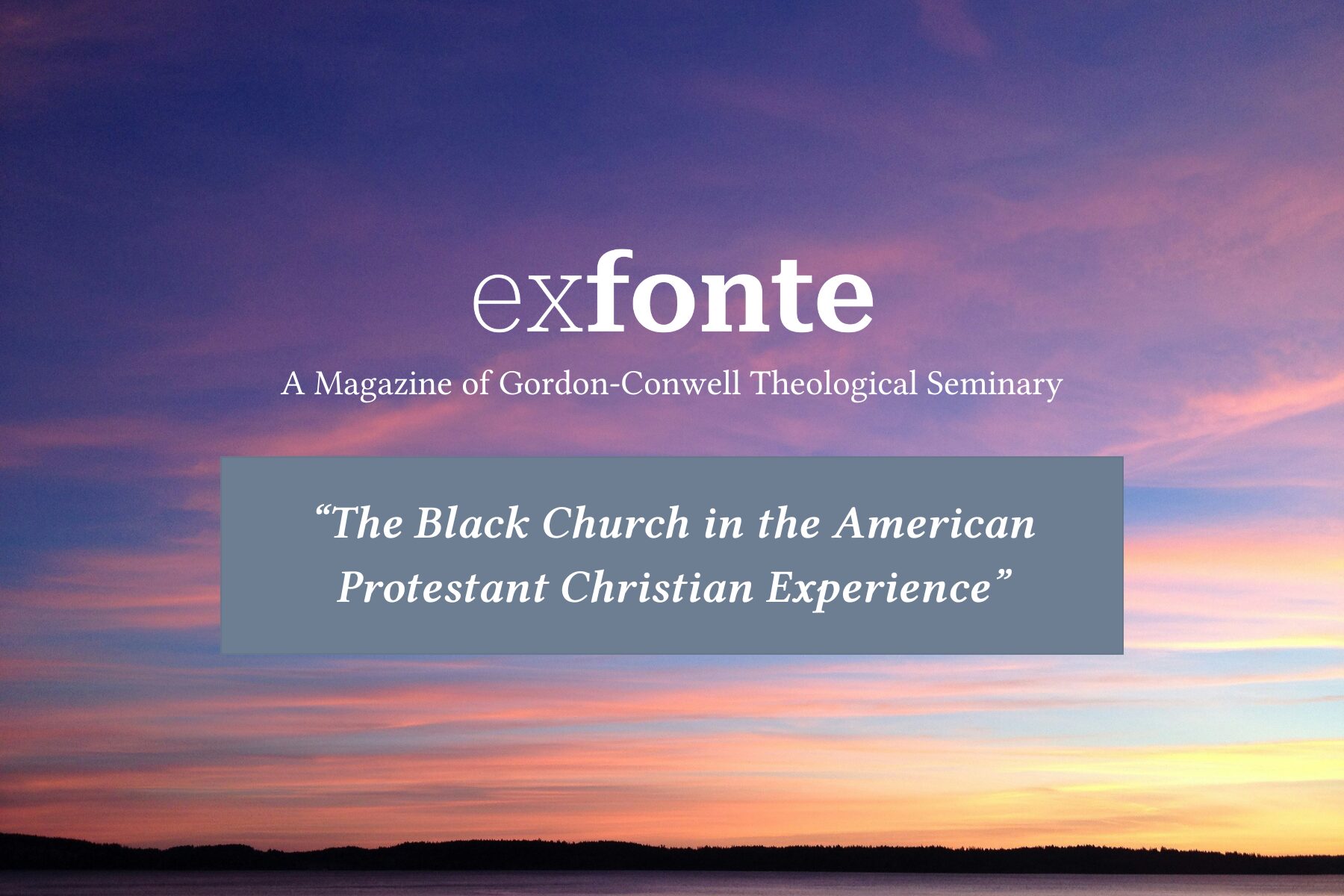 The Black Church in the American Protestant Christian Experience ...